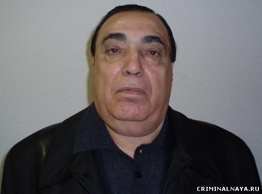 GALIX - Multi-Purpose Passive Self-Defence System for Land Platforms ...