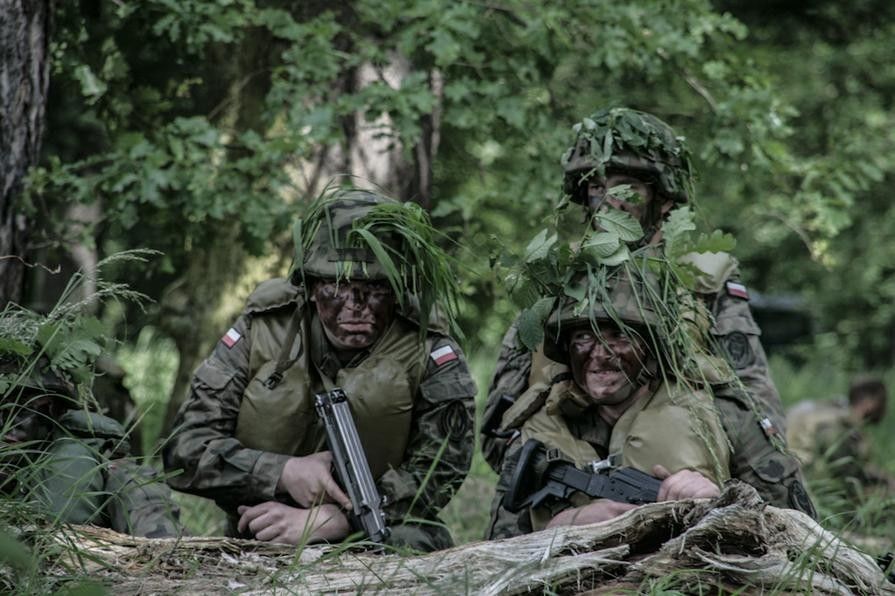 Polish Army Would Accept Volunteers Willing To Take Part The In ...