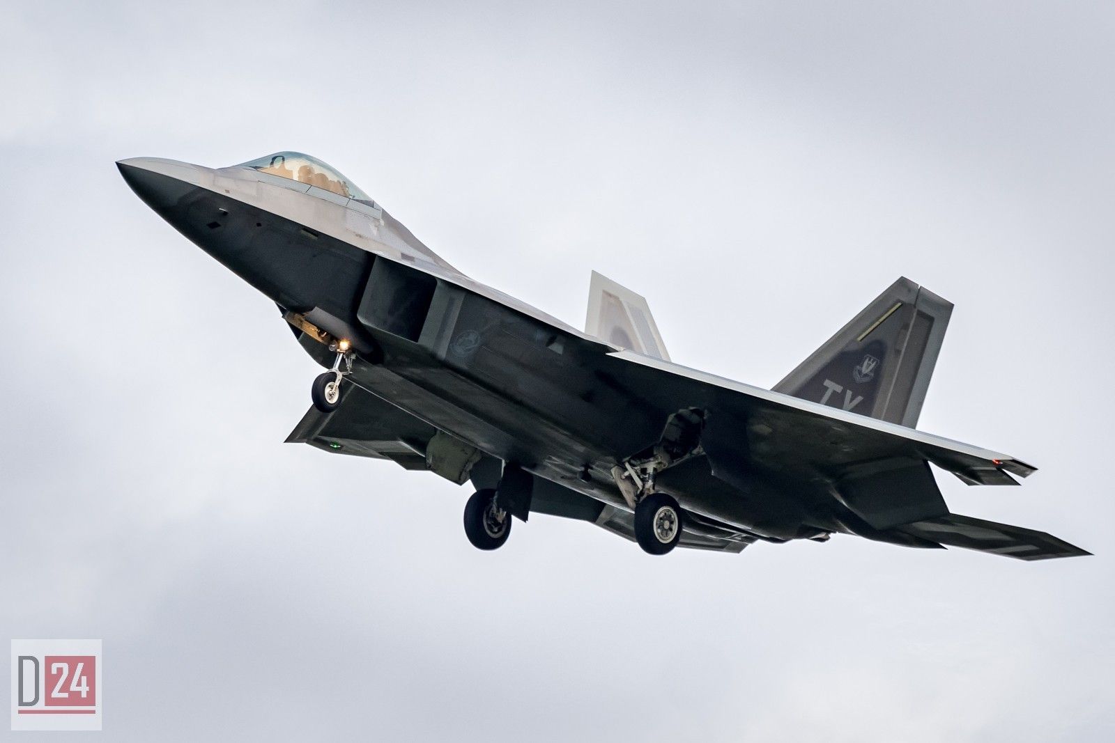 Raptory nad Warszawą