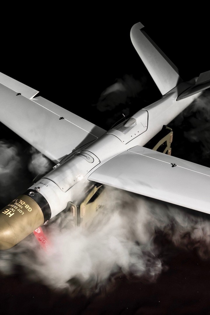 Inteligentny Rój od Grupy WB przeciwko systemom antydostępowym | Defence24