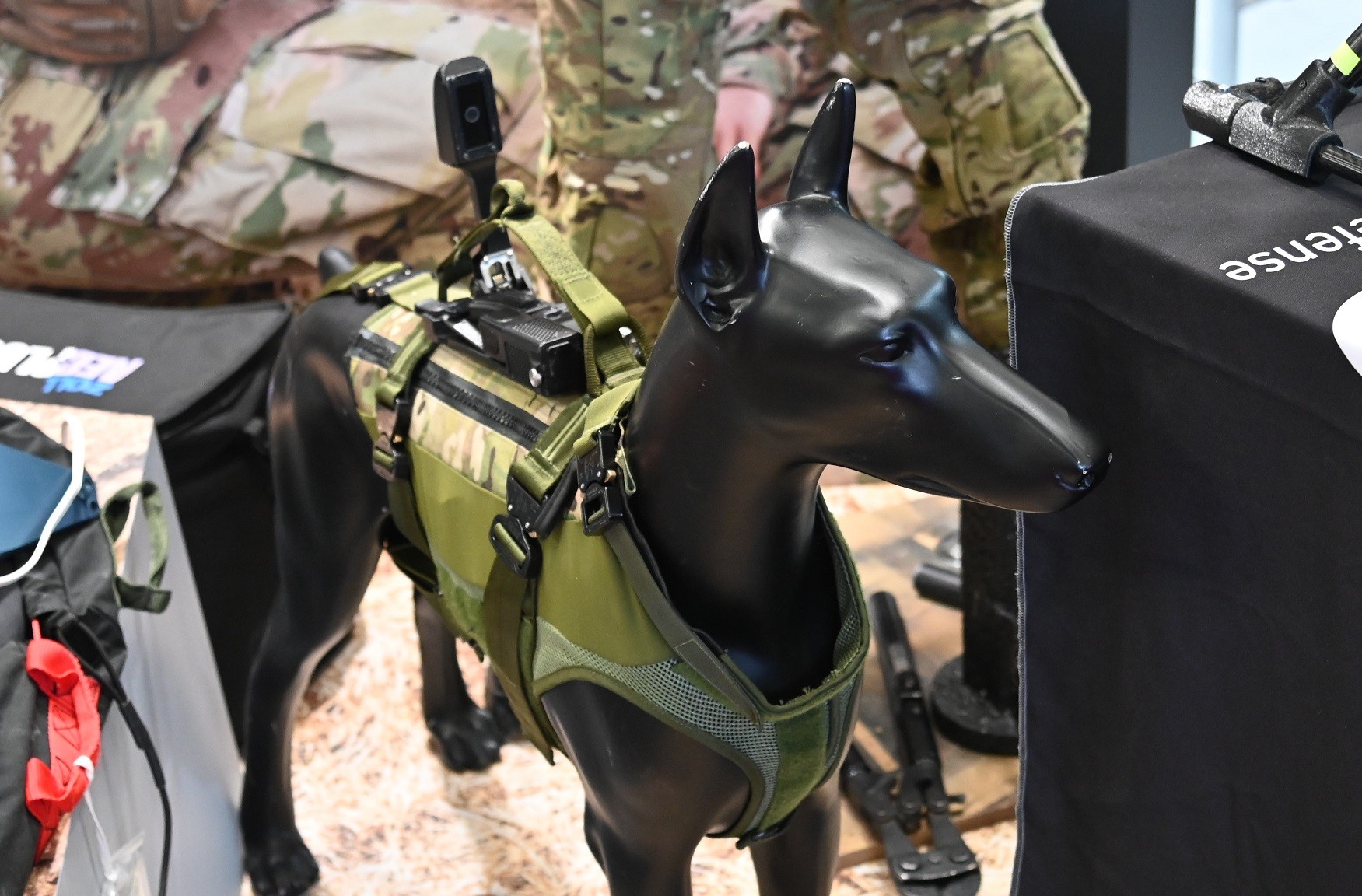 Pies wojskowy to też żołnierz i trzeba go chronić | Defence24