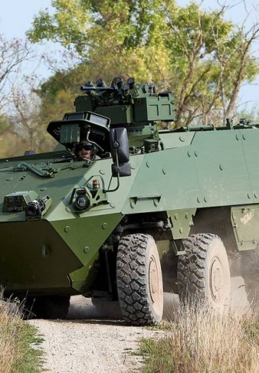 Austria odbiera 50. Pandura | Defence24