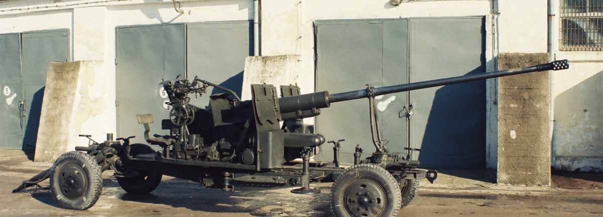 Poland Sends Anti-Aircraft Artillery To Ukraine. What Are the Specific ...