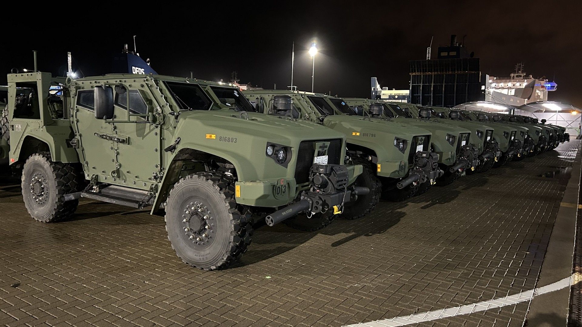 Litewskie Pegazy odebrane | Defence24