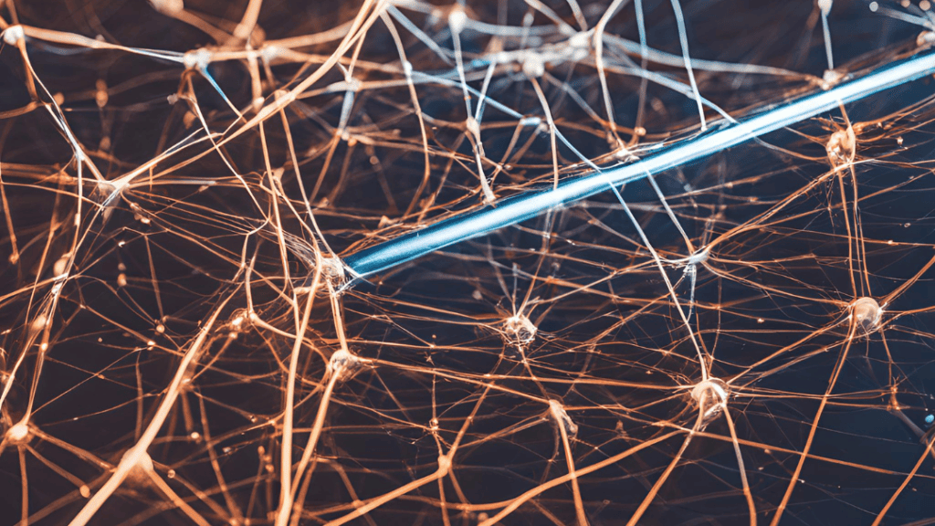 Internet, jakiego nie chcieliśmy. Ten startup walczy ze scamem