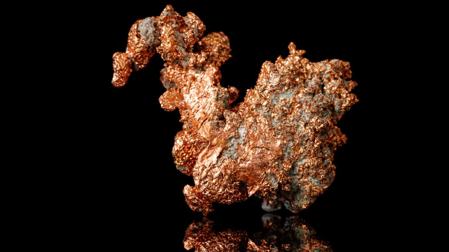 „Niewielu chciało zaryzykować”. Prezes Lumina Metals o miedzianym ...